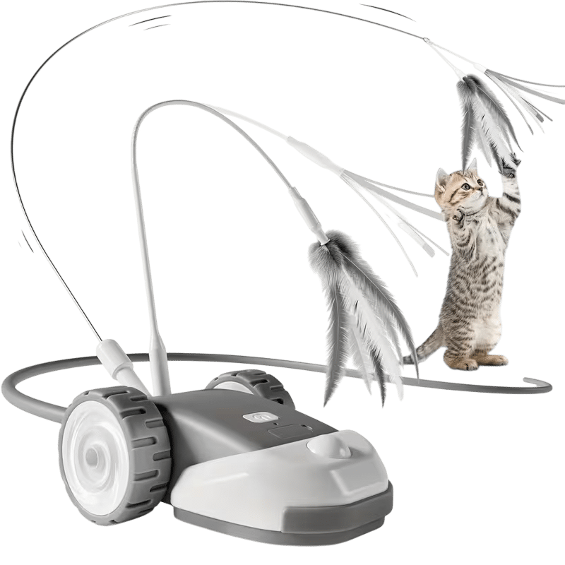 Best 5 Interactive Cat Toys of 2026: Ultimate Entertainment & Exercise ...
