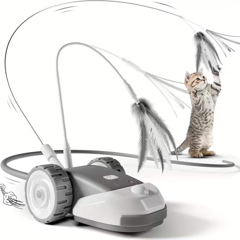 Best 5 Interactive Cat Toys of 2026: Ultimate Entertainment & Exercise ...