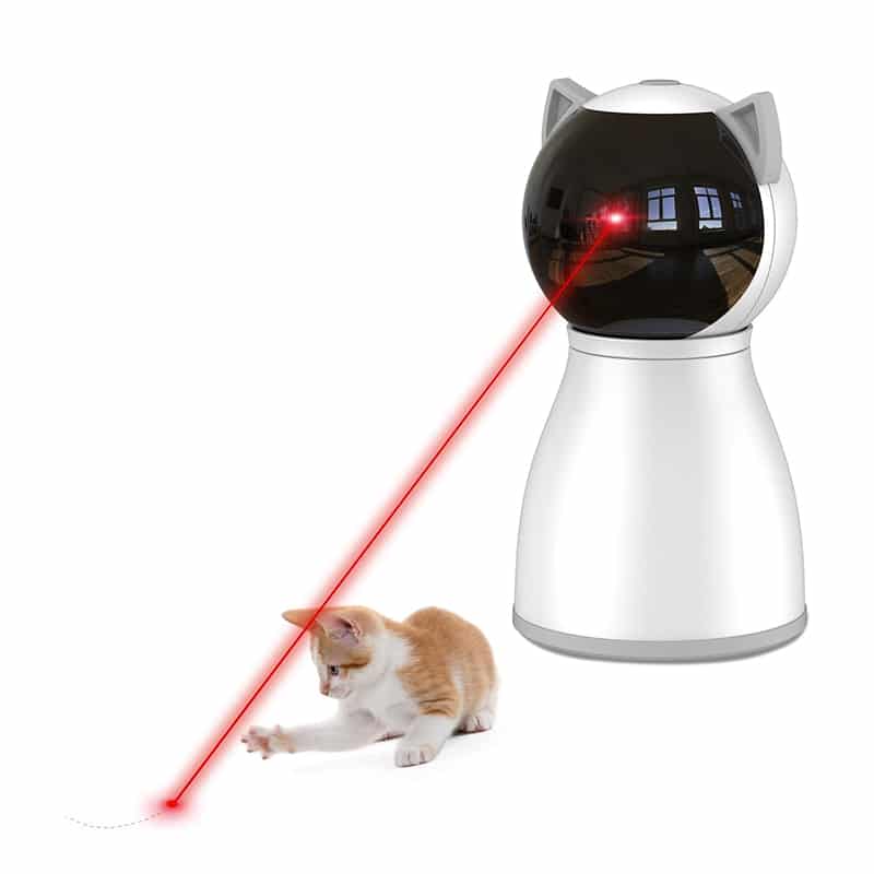 Best 5 Interactive Cat Toys of 2026: Ultimate Entertainment & Exercise ...